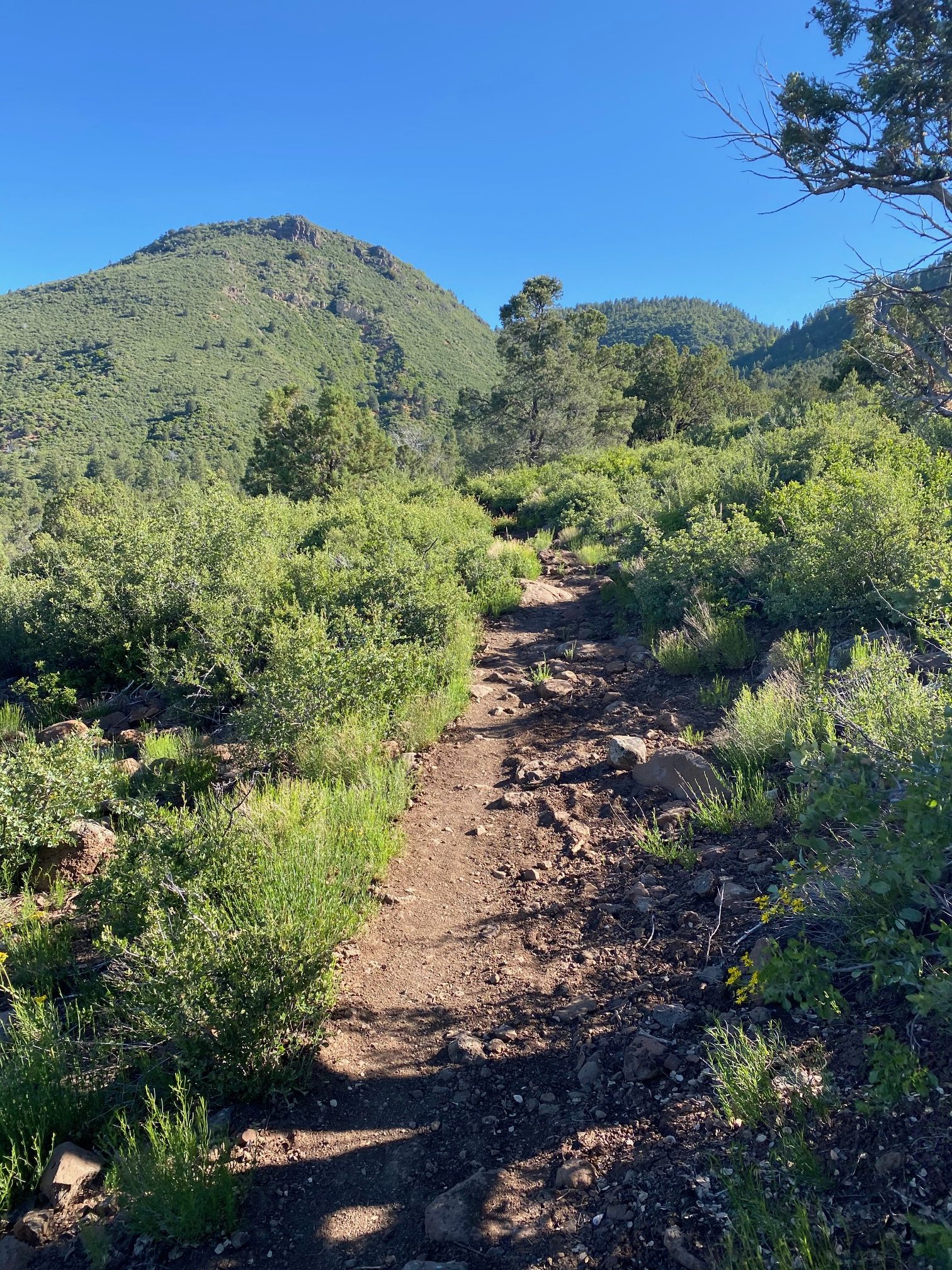 Hike #01 – Pine Trailhead – 20 mile | Arizona Trail Out and Back