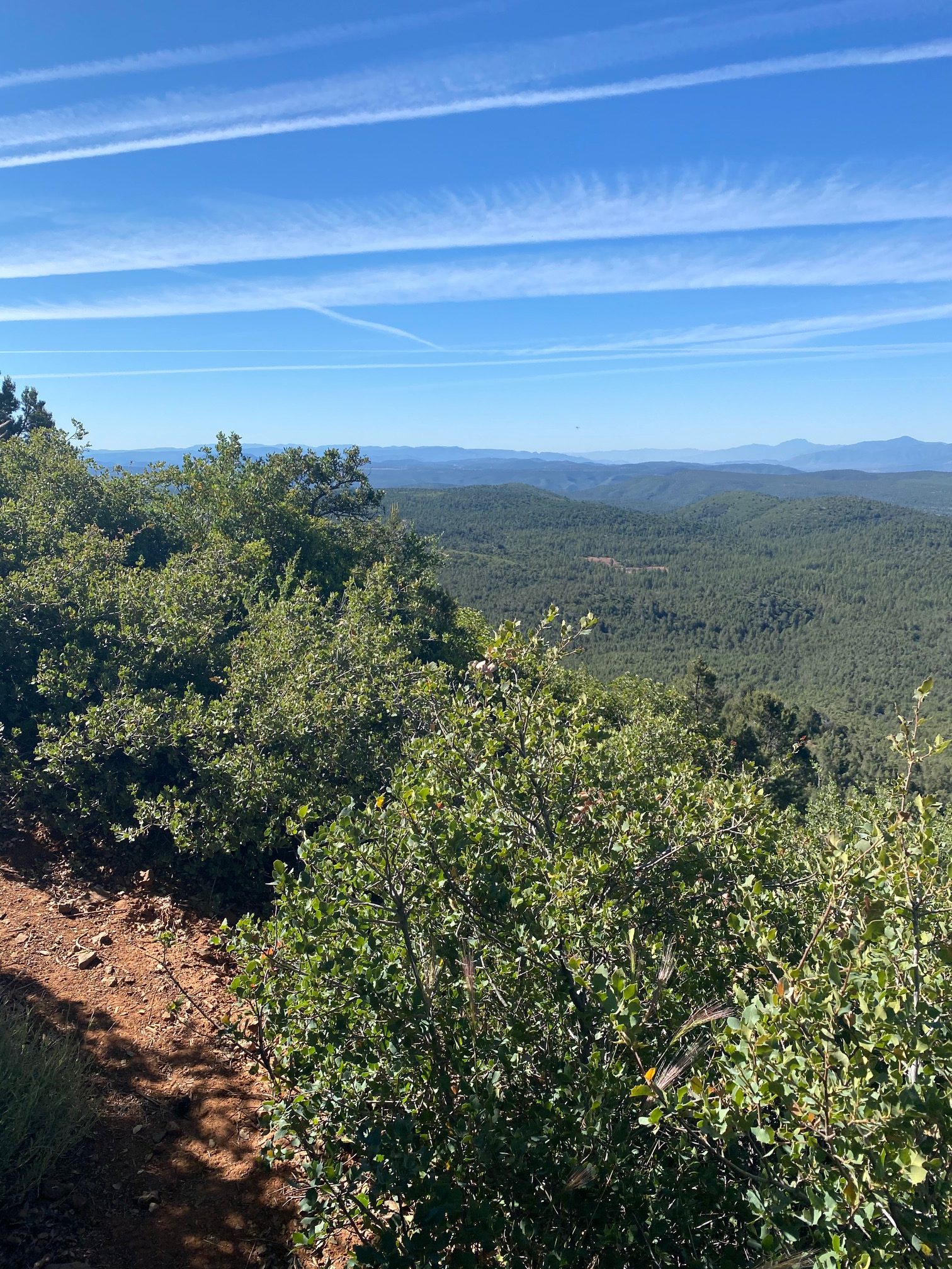 Hike #01 – Pine Trailhead – 20 mile | Arizona Trail Out and Back